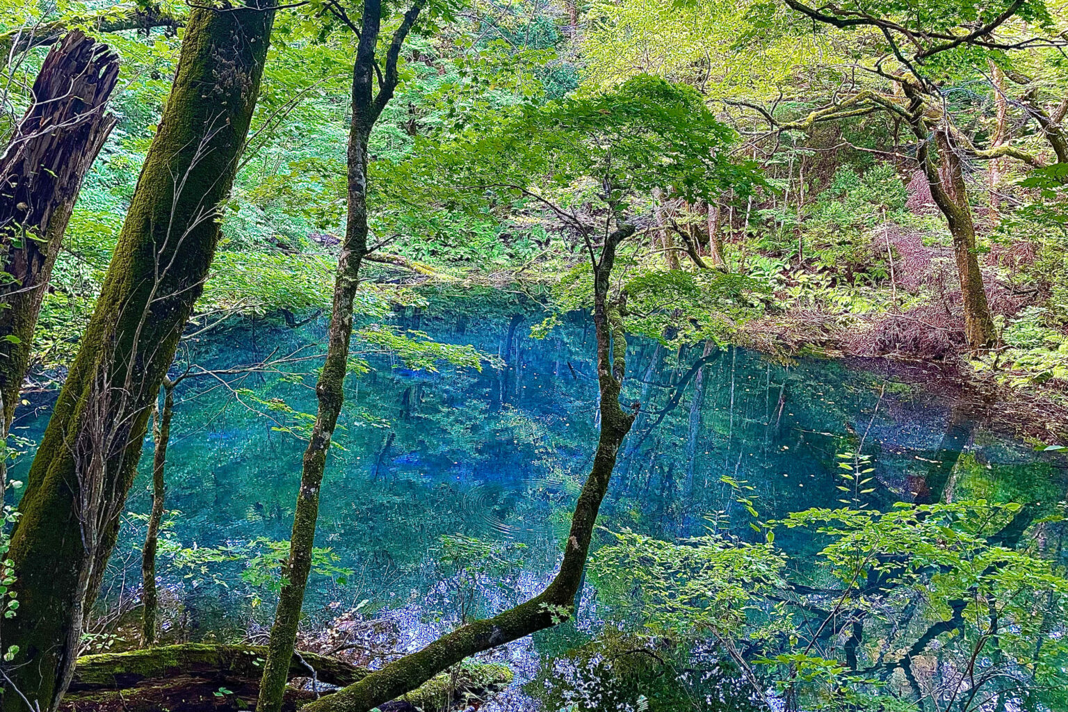34 Breathtaking Nature Spots in Japan | A Girl from Japan's picks