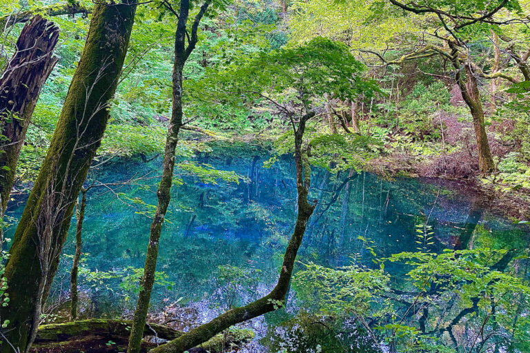34 Breathtaking Nature Spots in Japan | A Girl from Japan's picks